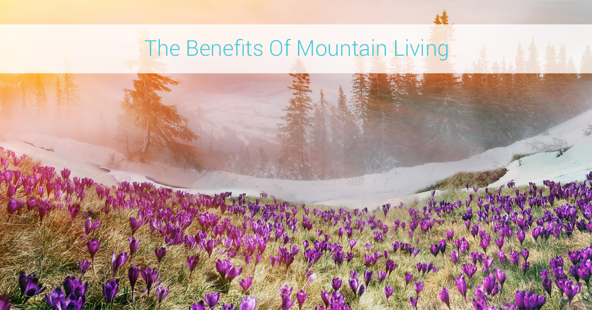 Vacation Home Steamboat Springs: The Benefits Of Mountain Living